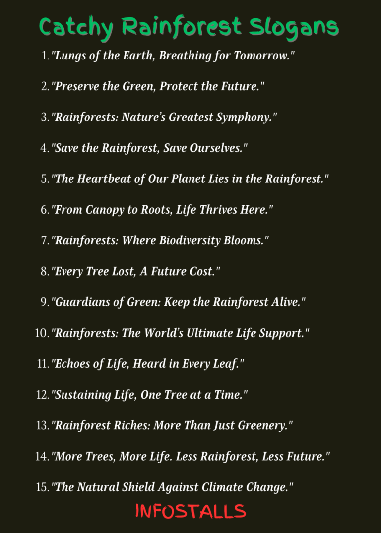 700+ Rainforest Slogans You Should Go For - Infostalls